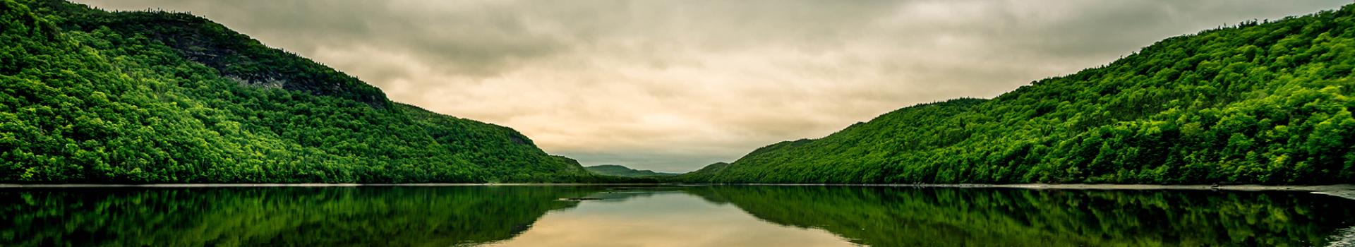 Conne River North Proposed Ecological Reserve | EngageNL